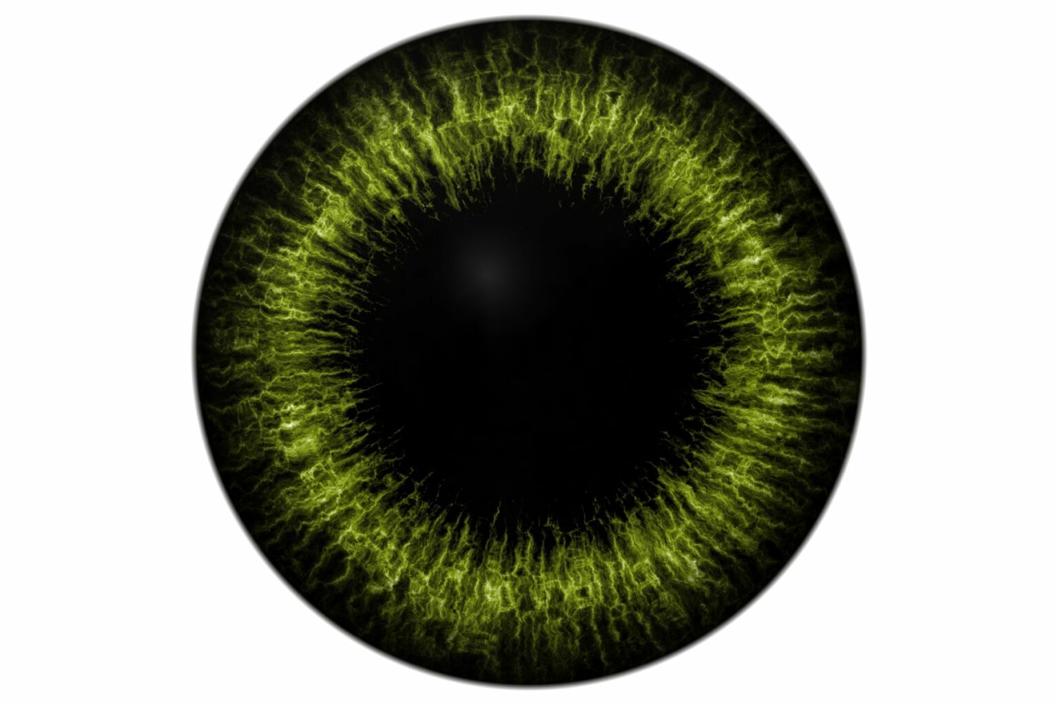 Why Dilated Eye Exams Still Matter in the Age of Advanced Imaging ...